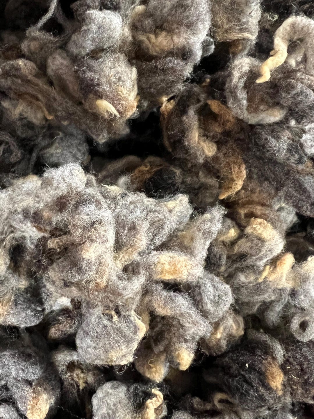 Romeldale/cvm Washed Wool, 1 Lb, Ready for Combing or Carding. SE2SE - Etsy