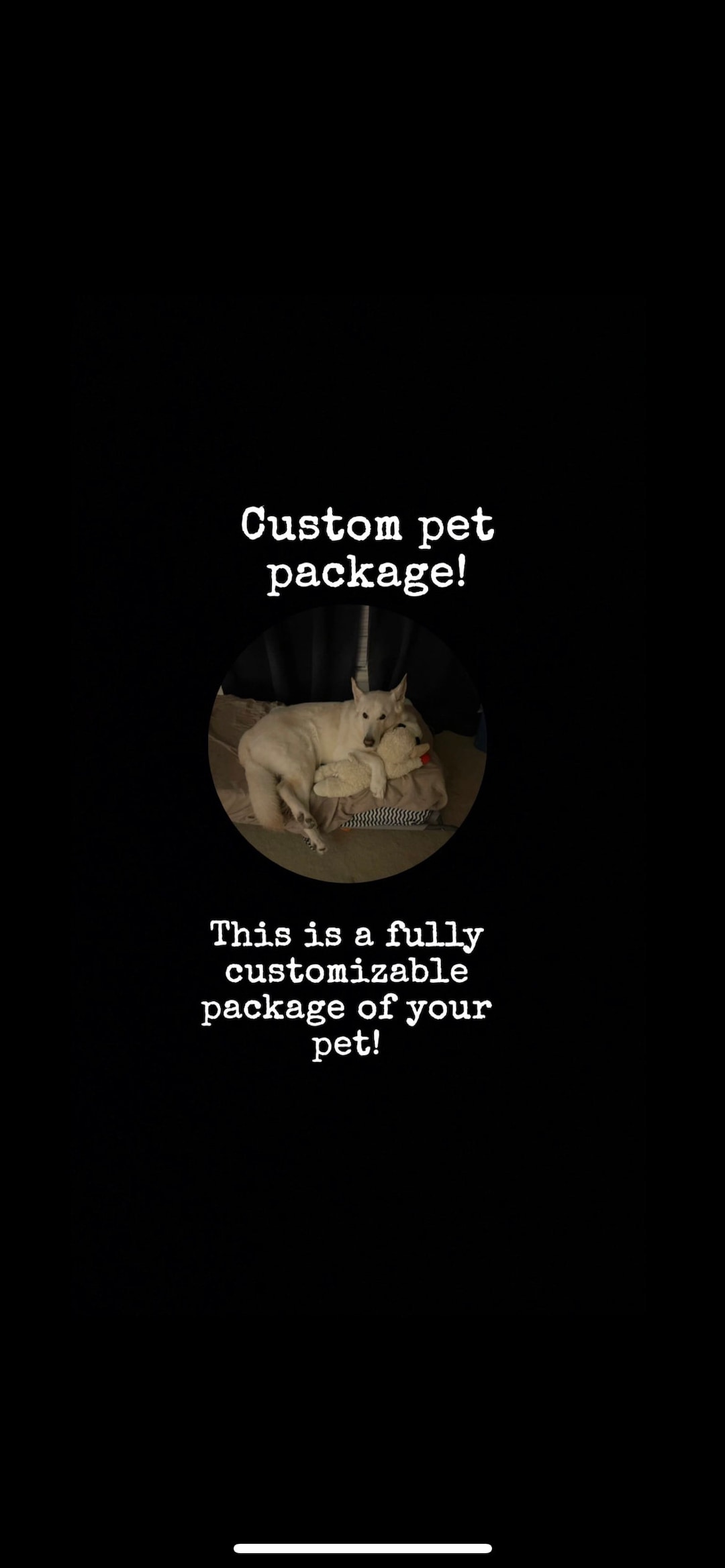 Custom Pet Package! - Etsy