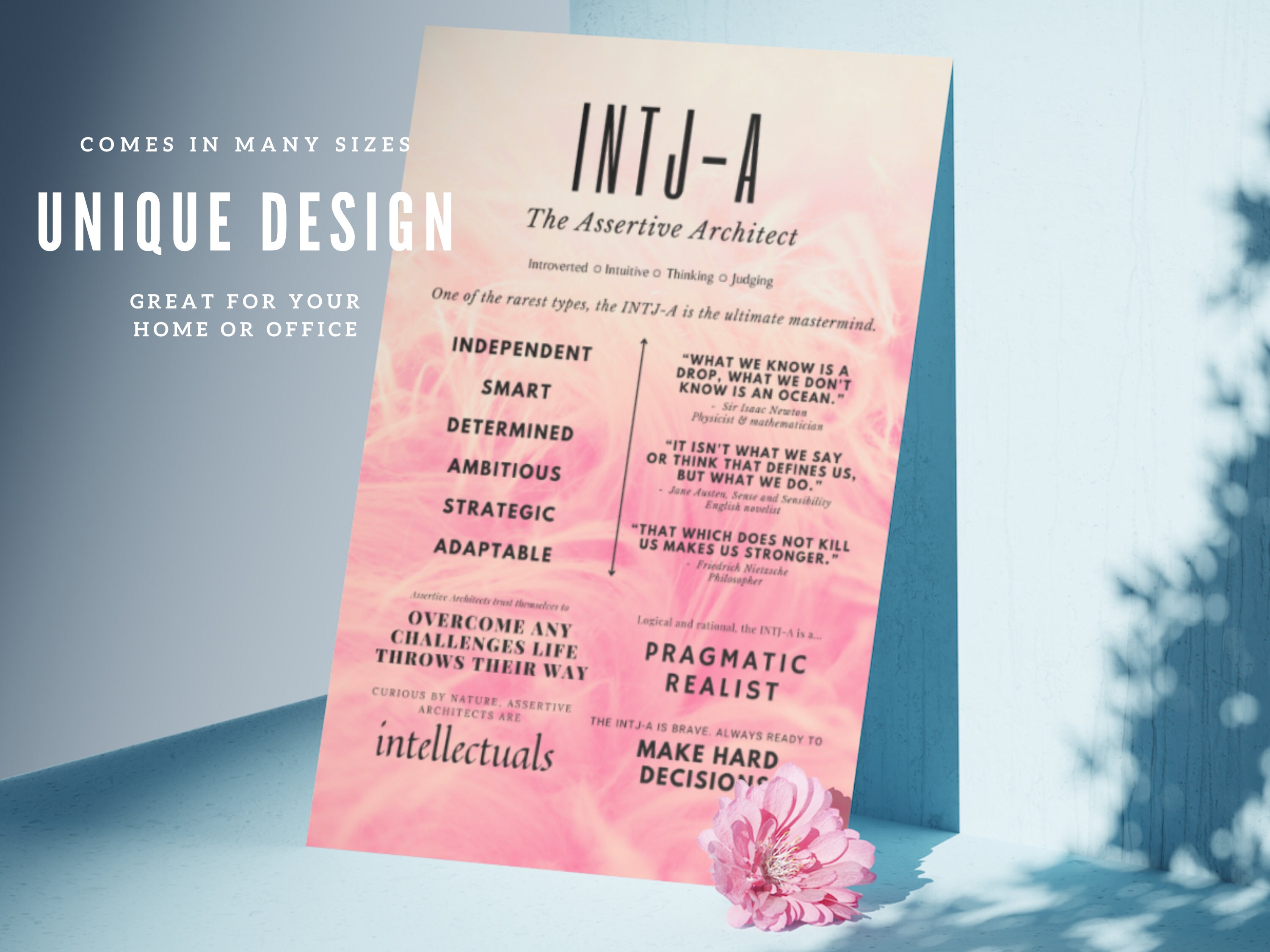 INTJ-A Personality Poster, MBTI Wall Art, Myers-briggs Decor in Pink - Etsy