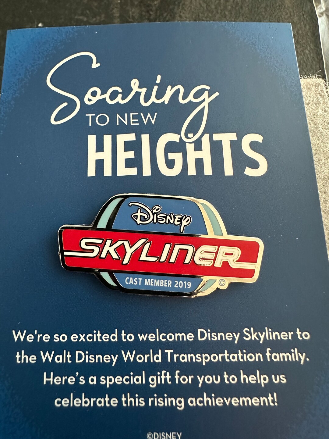 Disney 2019 Cast Member Exclusive Soaring to New Heights Skyliner Pin ...