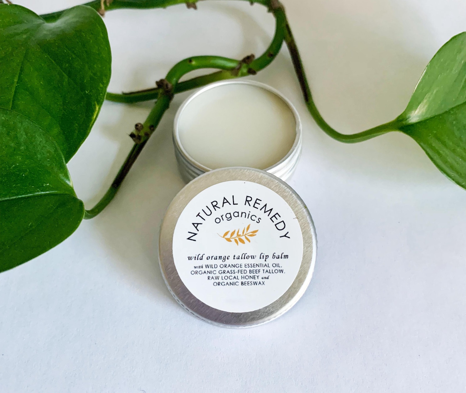 Beef Tallow Lip Balm | Infused With Raw Local Honey - Etsy