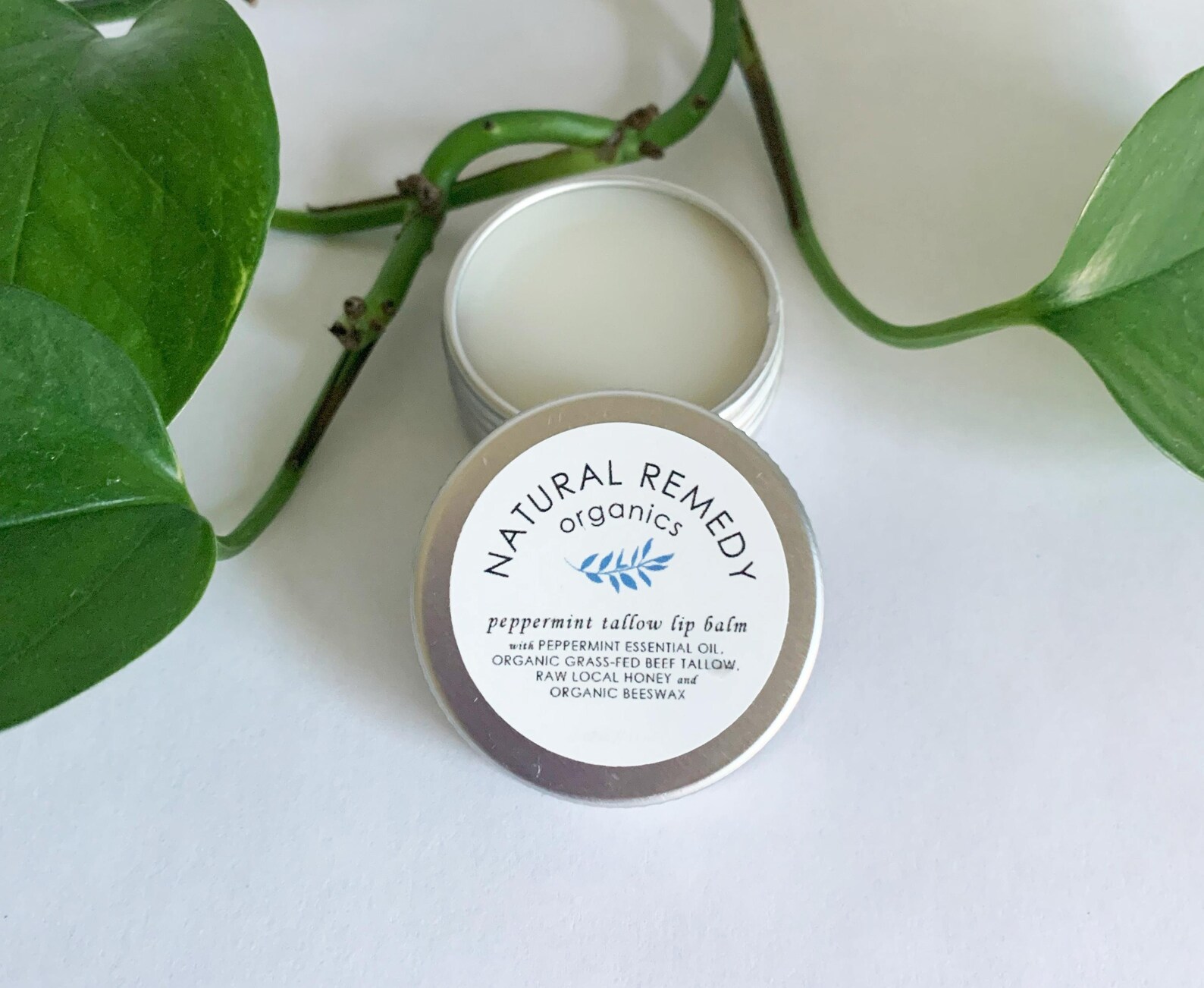 Beef Tallow Lip Balm | Infused With Raw Local Honey - Etsy