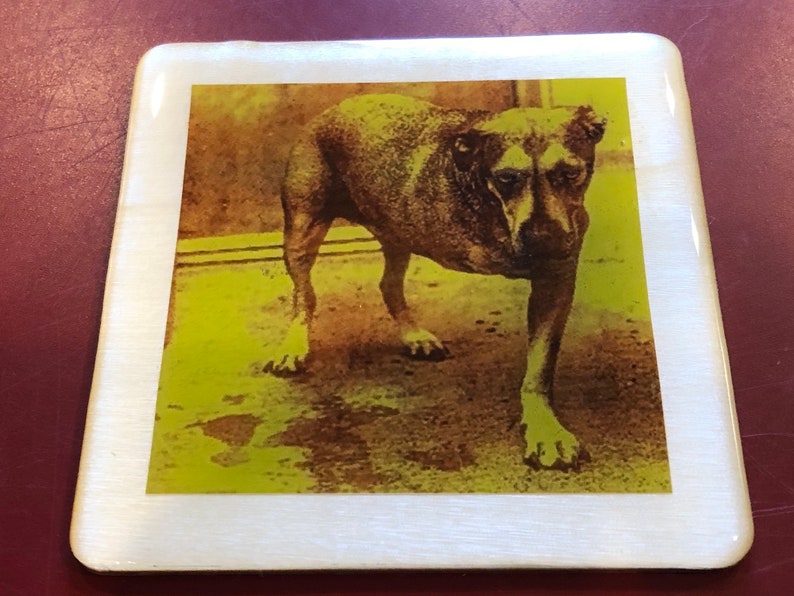 Album Cover Coasters - Etsy