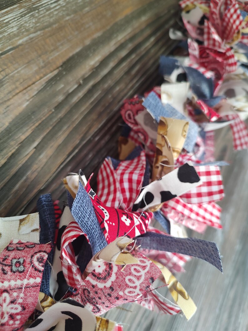 3 FT Wild West, Wild One, Cowboy Boots, Red Bandana, Gingham, Denim ...