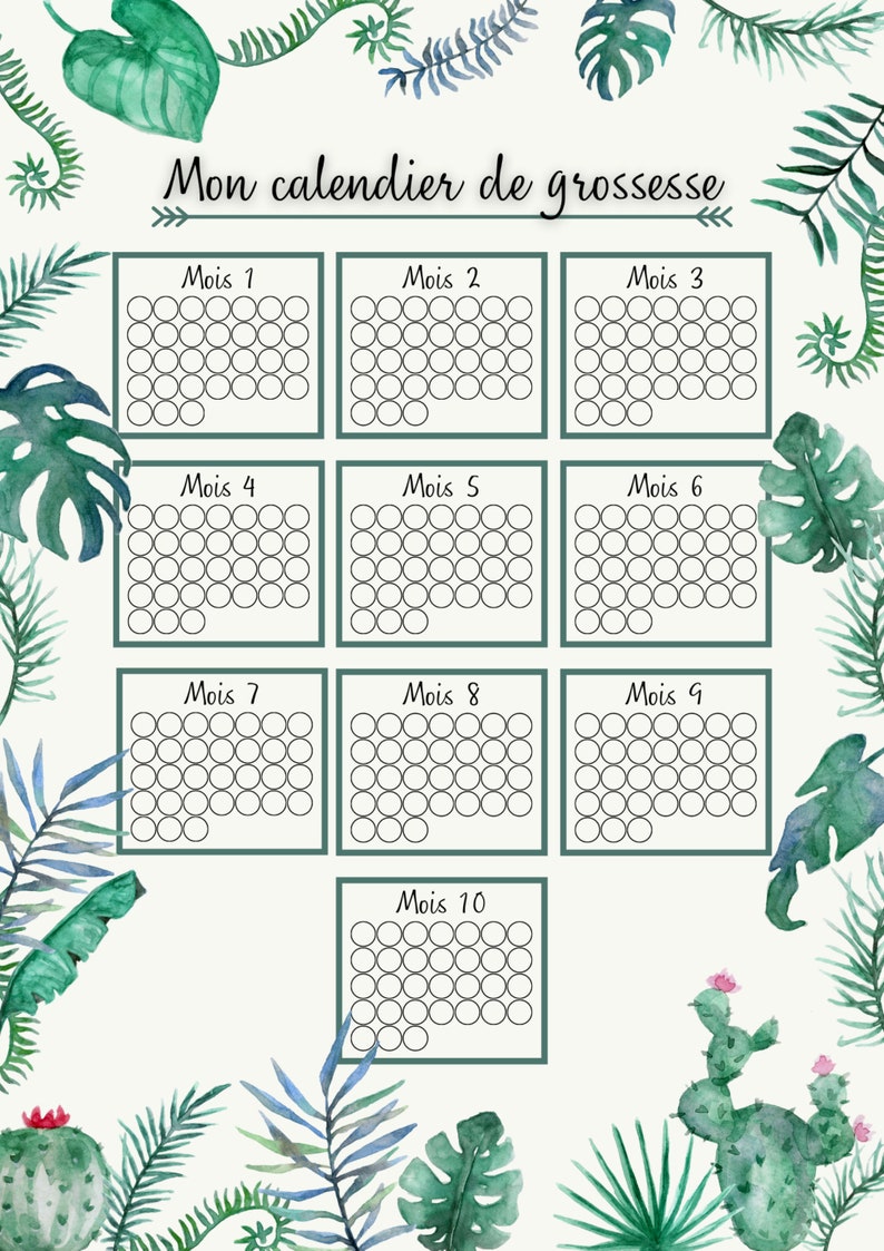 My Digital Pregnancy Calendar! Printable Pregnancy Calendar - Etsy