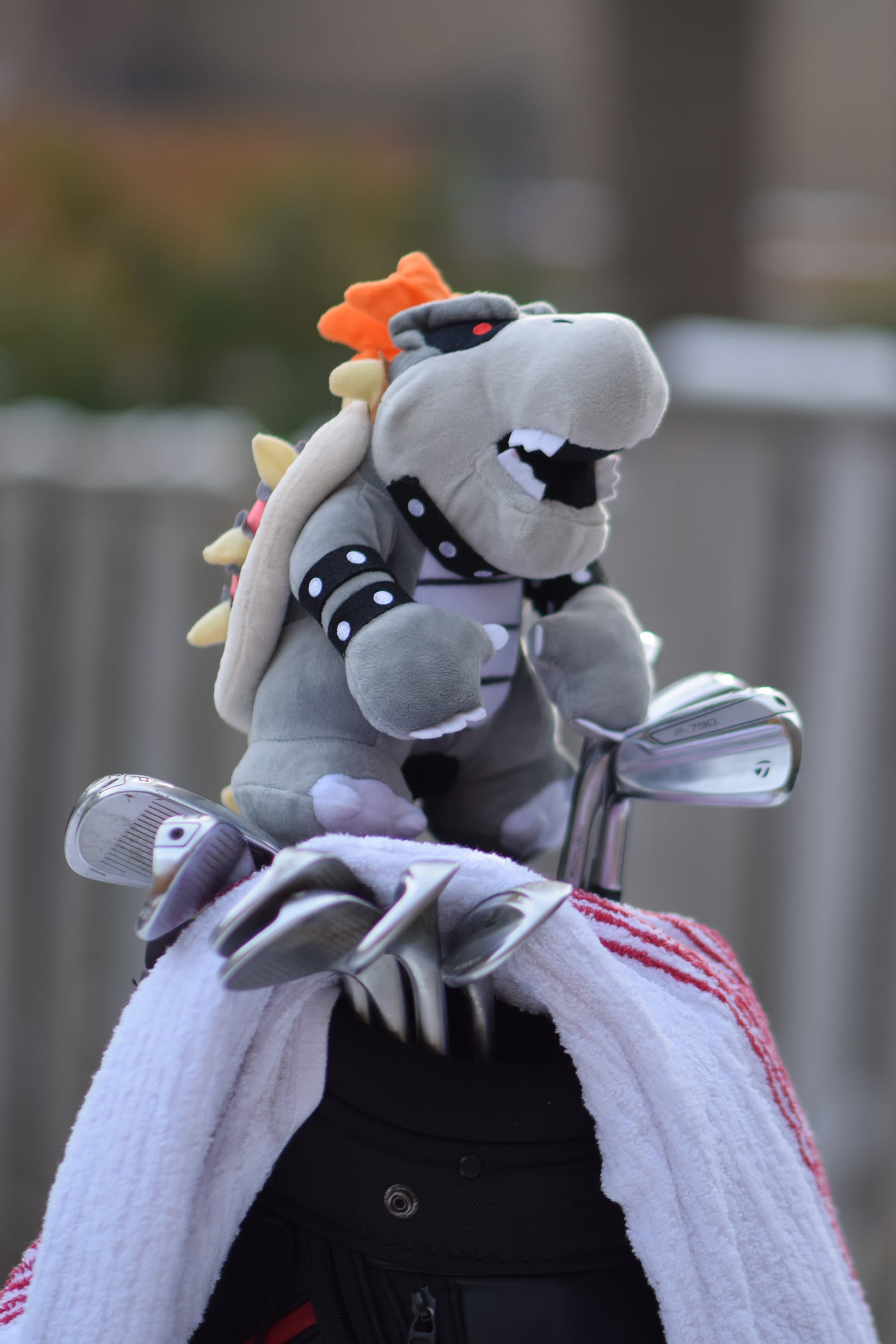 Dry Bowser Costume