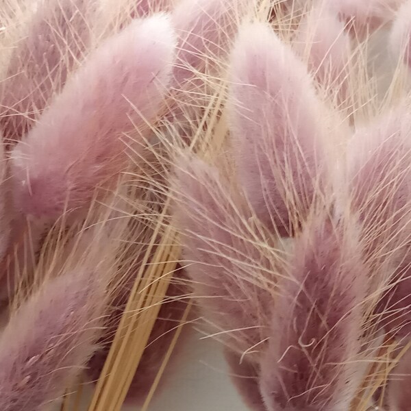 Bunny Tails - Etsy