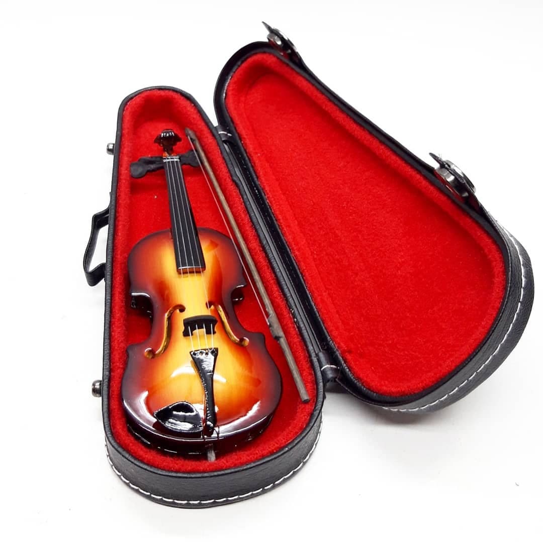 Miniature Violin Exclusive Plus Hardcase - Etsy