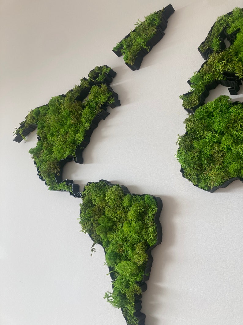 World Map With Lichen or Moss, World Map With Reindeer Moss on a Cork ...