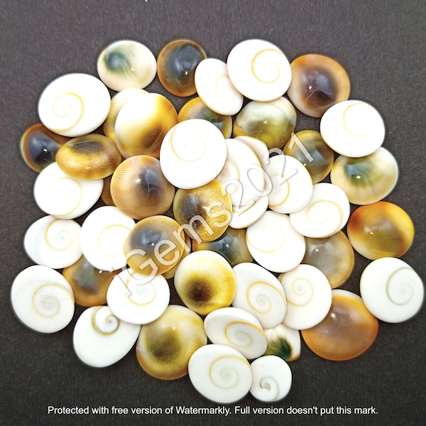 Pacific Cats Eye - Etsy