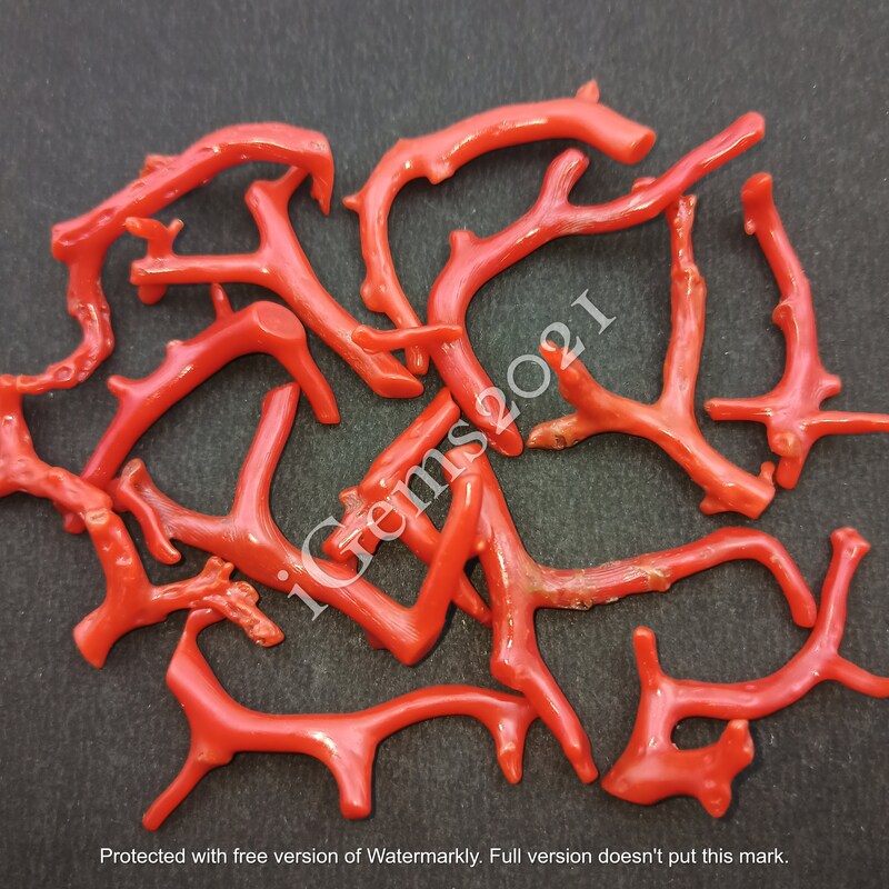 Natural Red Coral - Etsy