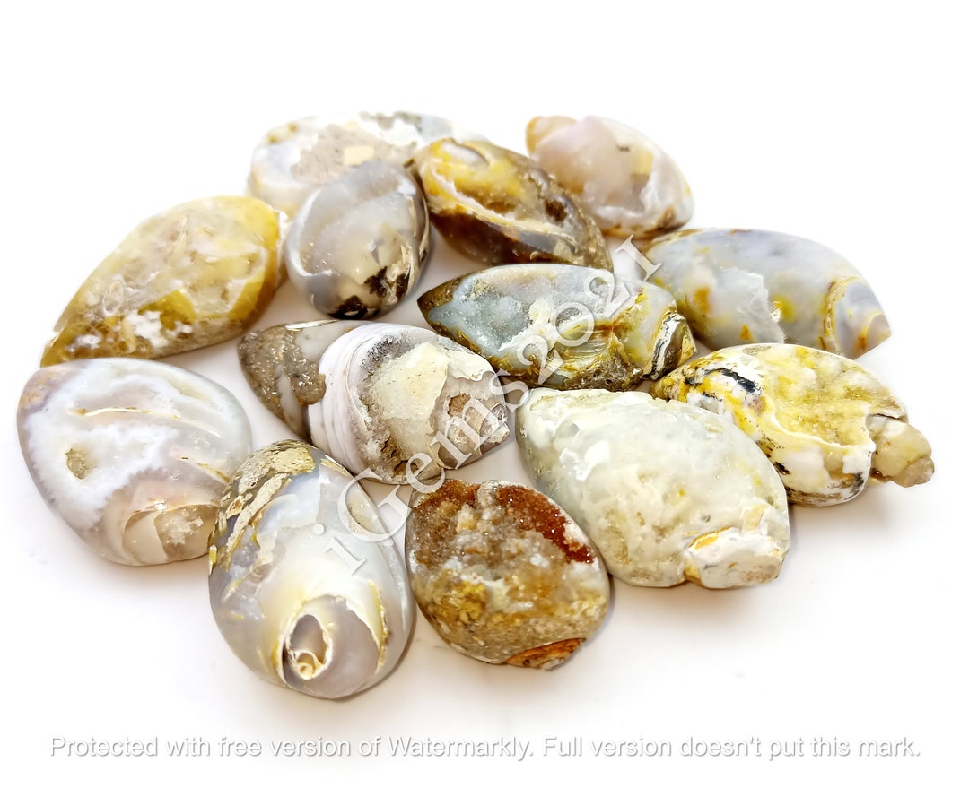 Natural Conch Shell/conch Druzy Gemstone Cabochon - Snail Shell Druzy ...