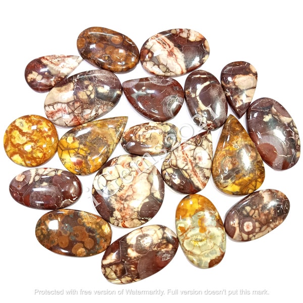 Bird Eye Stone - Etsy