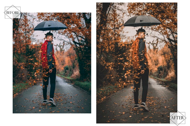 13 Popular Autumn Photoshop Actions, Orange Fall ACR Preset, Earthy Ps ...