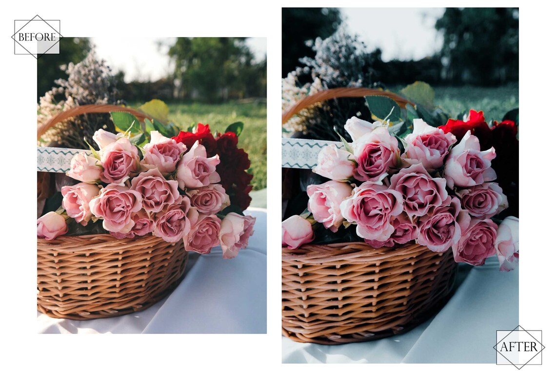 12 Photoshop Actions, Emotional Forest Ps Action, Jungle Cozy ACR ...