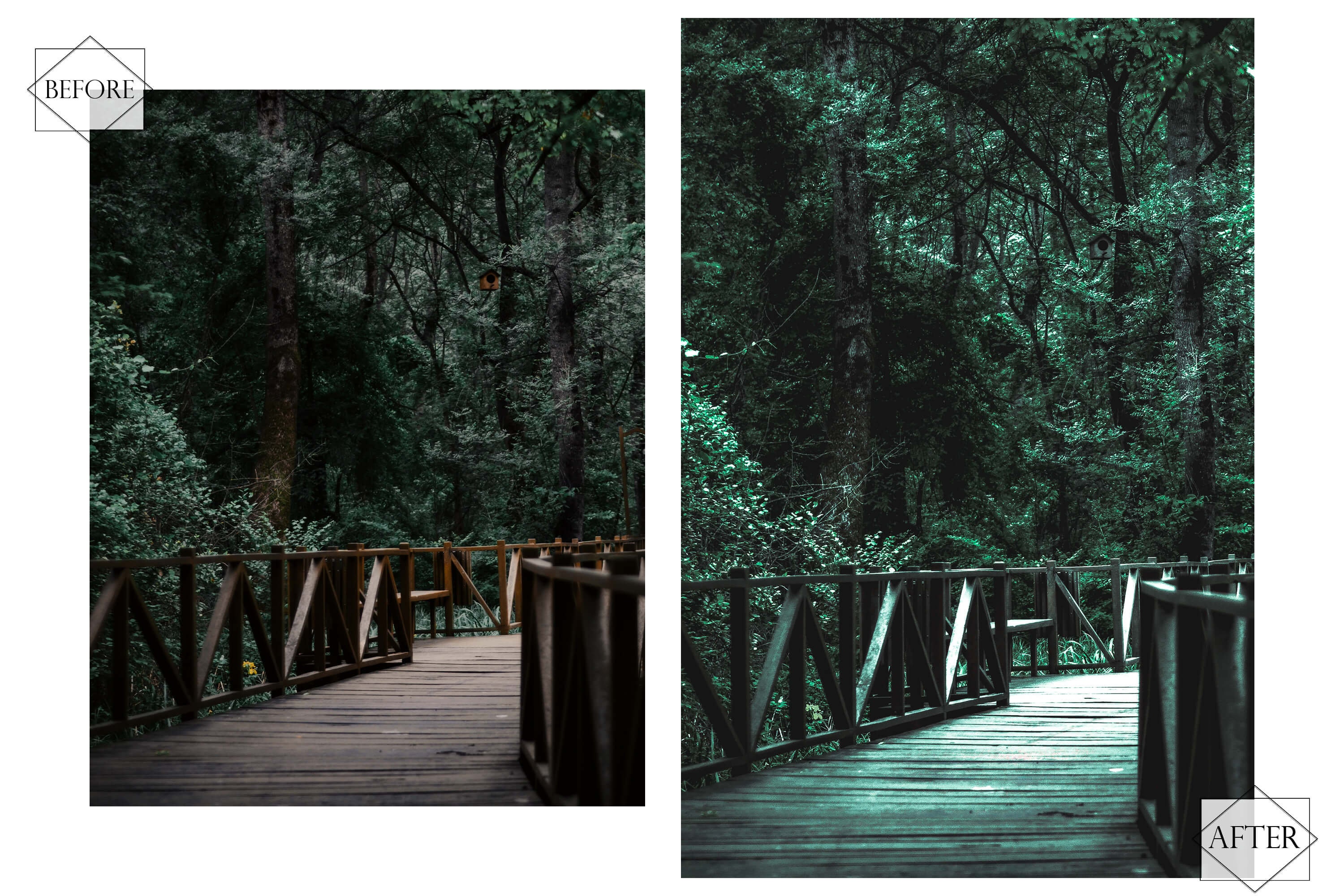 12 Dark Mysterious Photoshop Actions, Moody Dark ACR Preset, Mystery ...