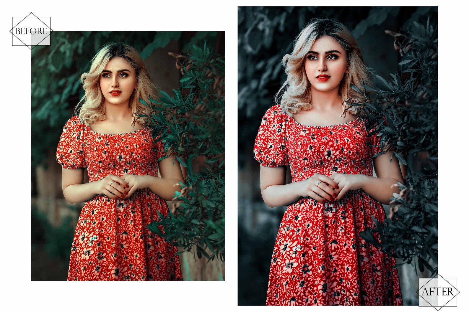 12 Photoshop Actions, Emotional Forest Ps Action, Jungle Cozy ACR ...