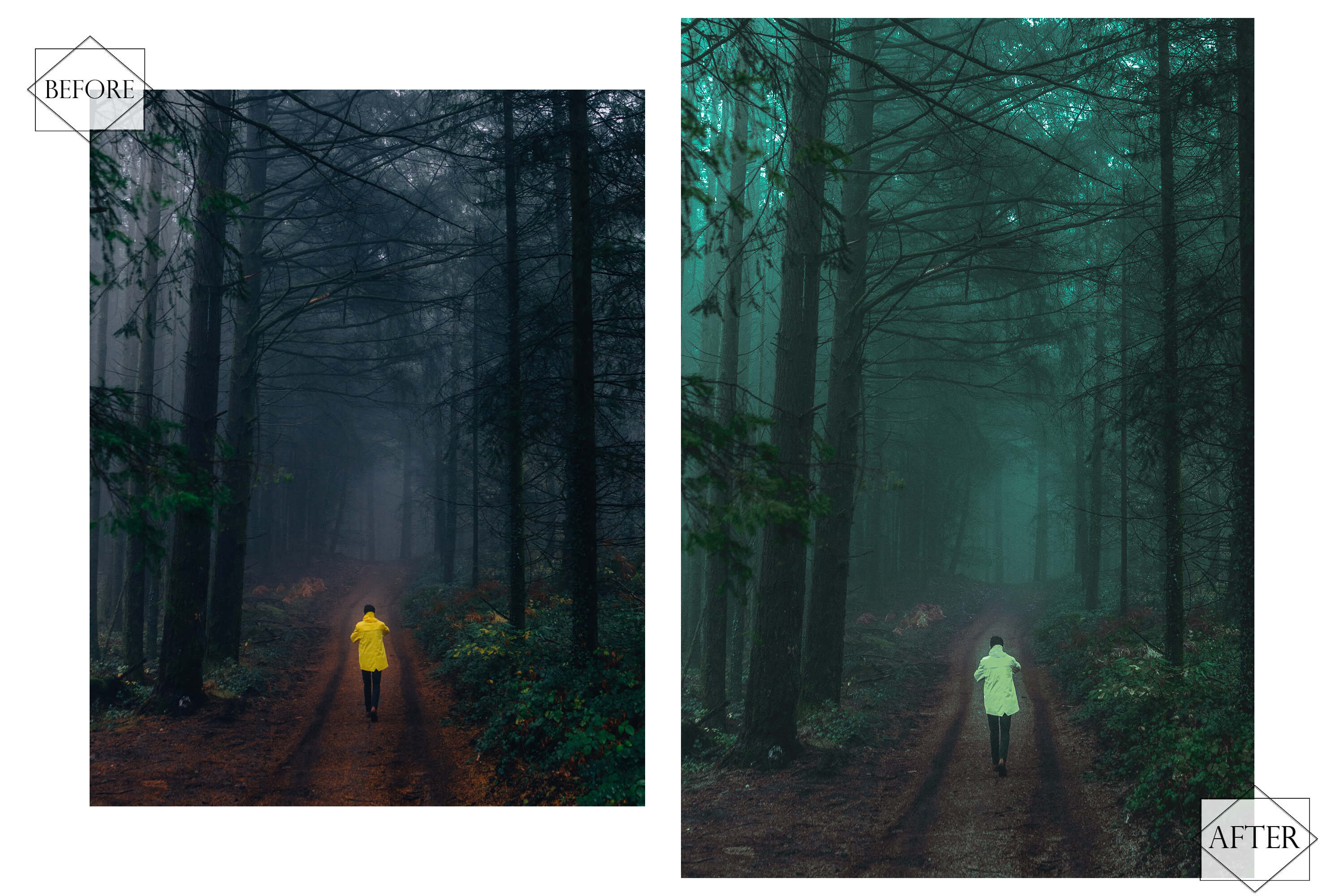 12 Dark Mysterious Photoshop Actions, Moody Dark ACR Preset, Mystery ...