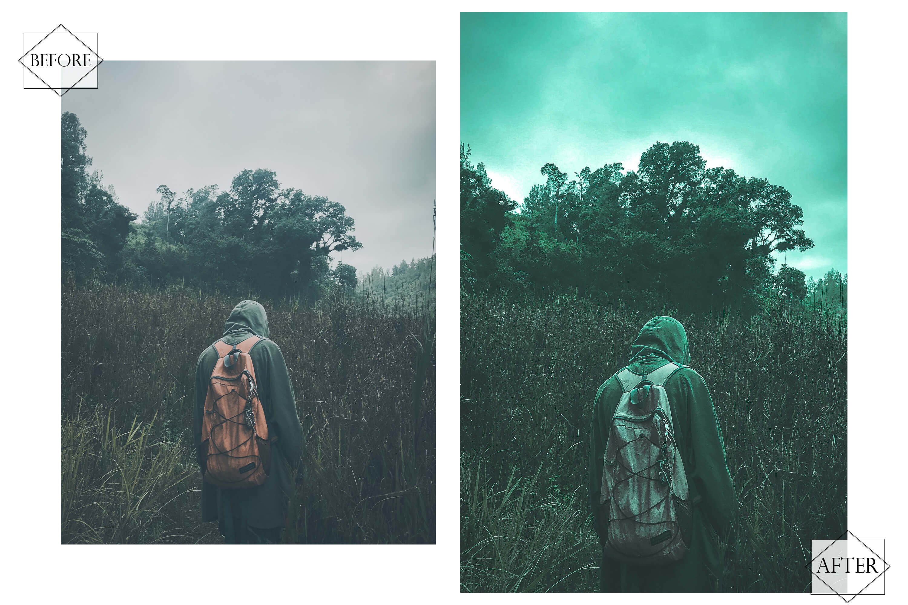 12 Dark Mysterious Photoshop Actions, Moody Dark ACR Preset, Mystery ...