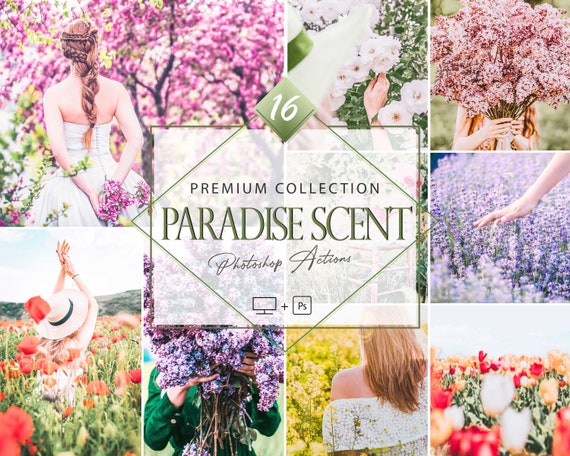 16 Paradise Scent Photoshop Actions Summer ACR Preset Bright | Etsy