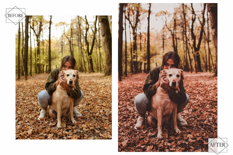 12 Autumn Fall Photoshop Actions, Dark Moody ACR Preset, Orange Ps ...