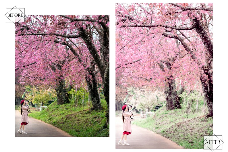 12 Dreamy Pink Photoshop Actions, Sweet Color ACR Preset, Soft Filter ...