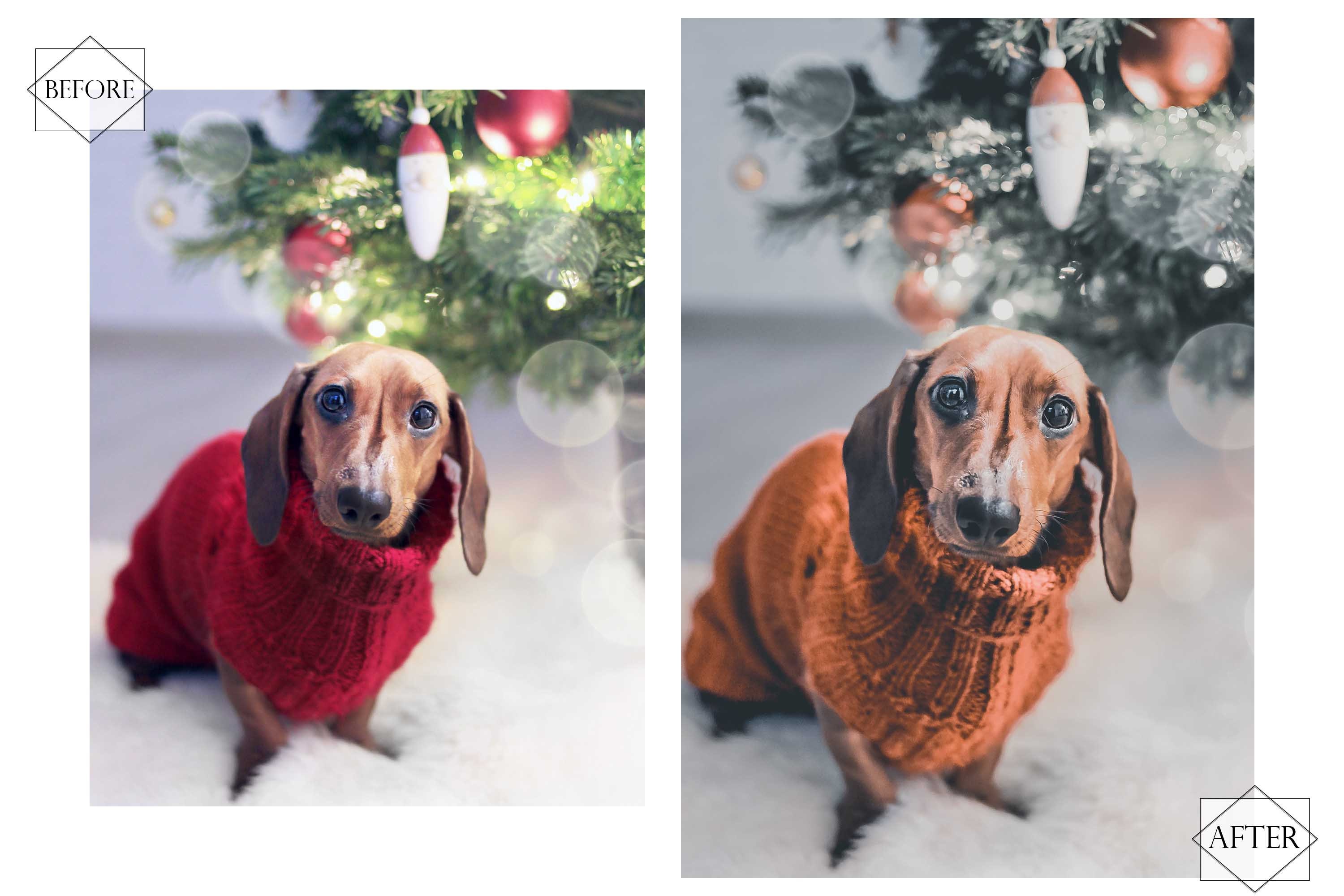 13 Popular Autumn Photoshop Actions, Orange Fall ACR Preset, Earthy Ps ...