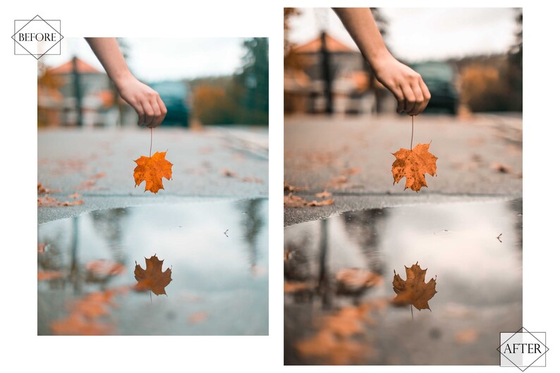 13 Popular Autumn Photoshop Actions, Orange Fall ACR Preset, Earthy Ps ...