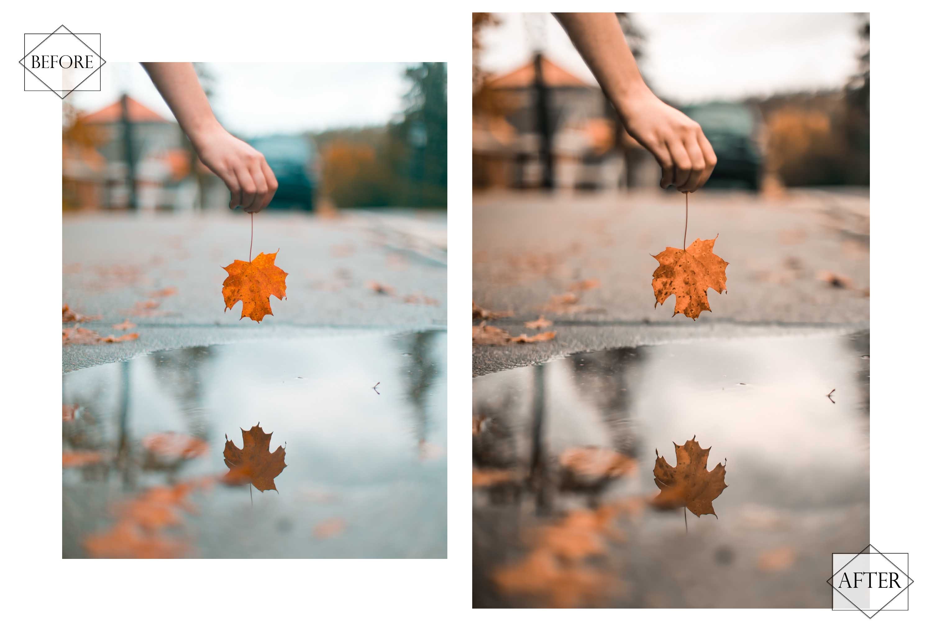 13 Popular Autumn Photoshop Actions, Orange Fall ACR Preset, Earthy Ps ...