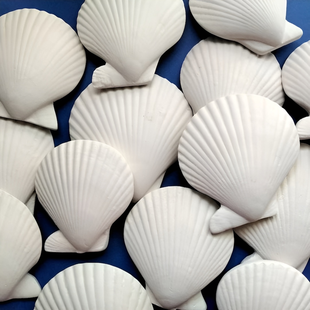 6PCS Ceramic Handmade Shells/ Ready to Paint. Very Detailed Bisque ...