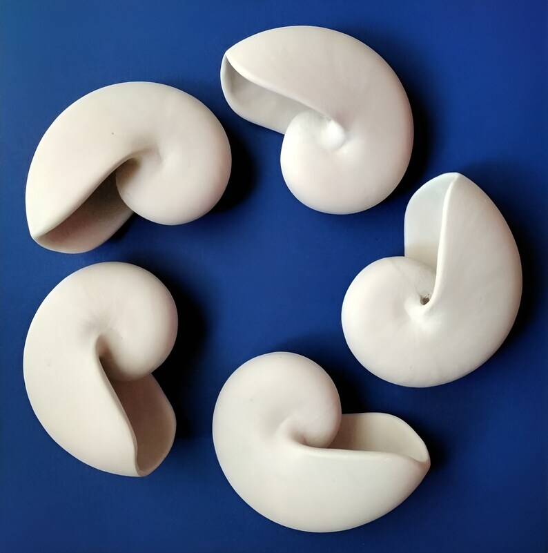 White Ceramic Handmade Shells/ Ready to Paint. Very Detailed, 9x7cm ...