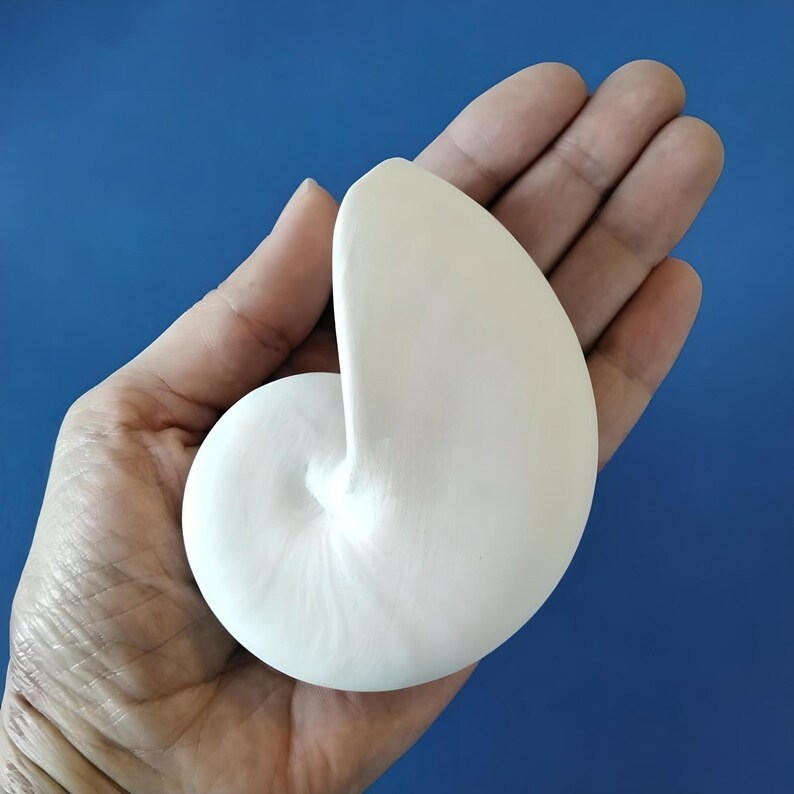 White Ceramic Handmade Shells/ Ready to Paint. Very Detailed, 9x7cm ...