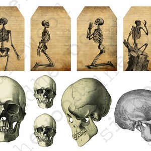 Skeletons & Skulls - Ephemera, Junk Journals, Printable Paper Crafts ...