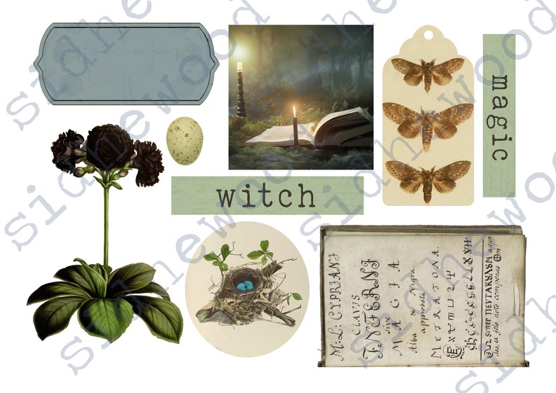 Dark Forest Perfect for Junk Journals Ephemera Printable - Etsy