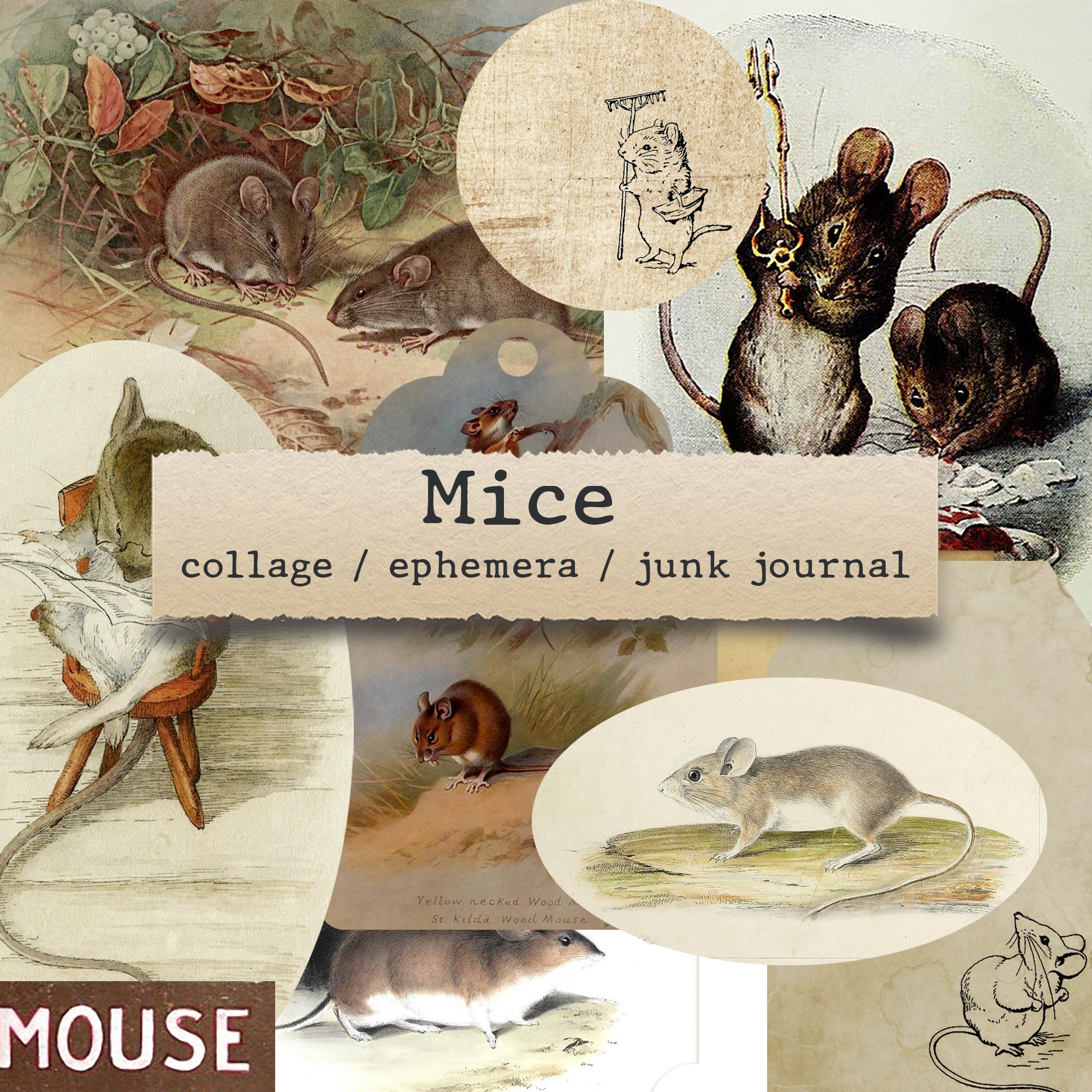 Mice Ephemera, Junk Journals, Printable Paper Crafts, Scrapbooking, Collage Sheet, Digital ...