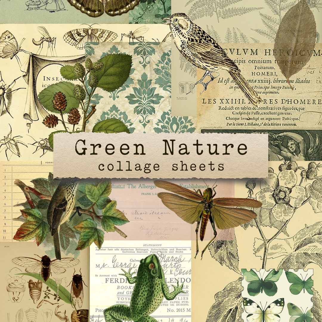 Green Nature Collage Sheet - Junk Journals, Printable Paper Crafts ...