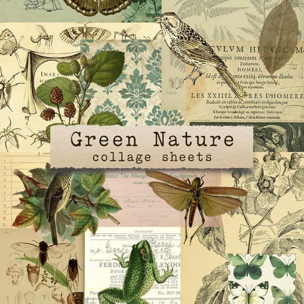 Nature Collage - Etsy