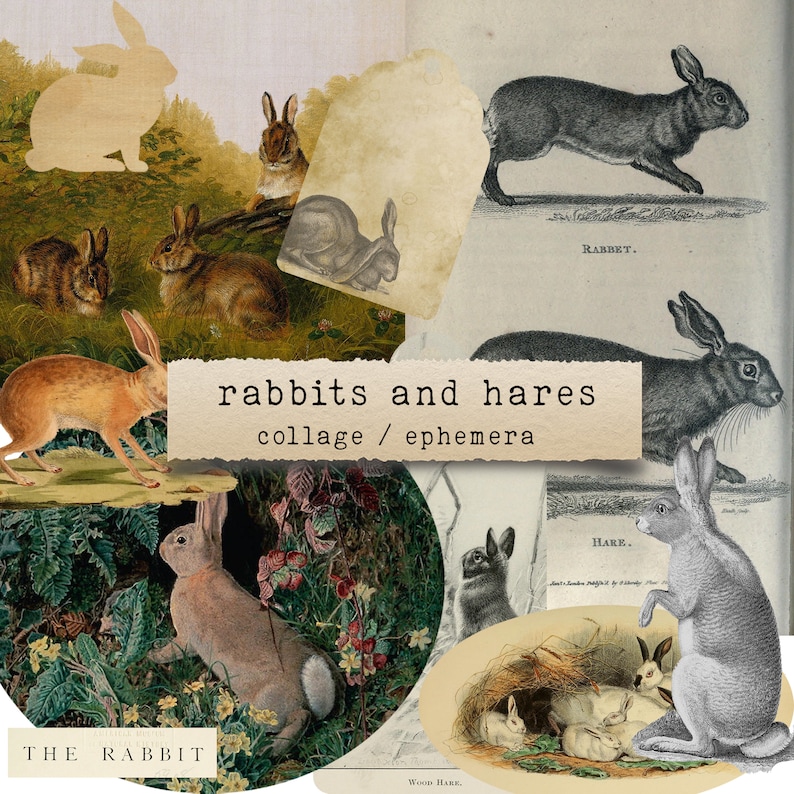 Rabbits & Hares - Ephemera, Junk Journals, Printable Paper Crafts ...