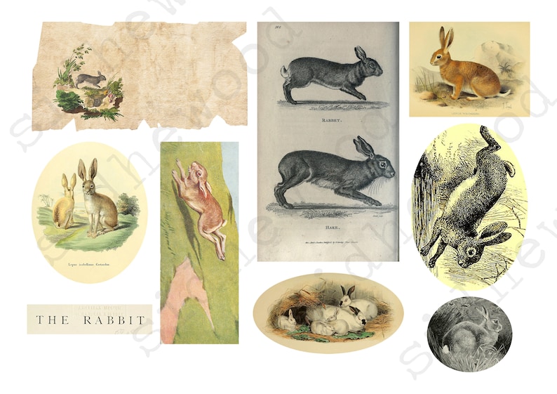 Rabbits & Hares - Ephemera, Junk Journals, Printable Paper Crafts ...