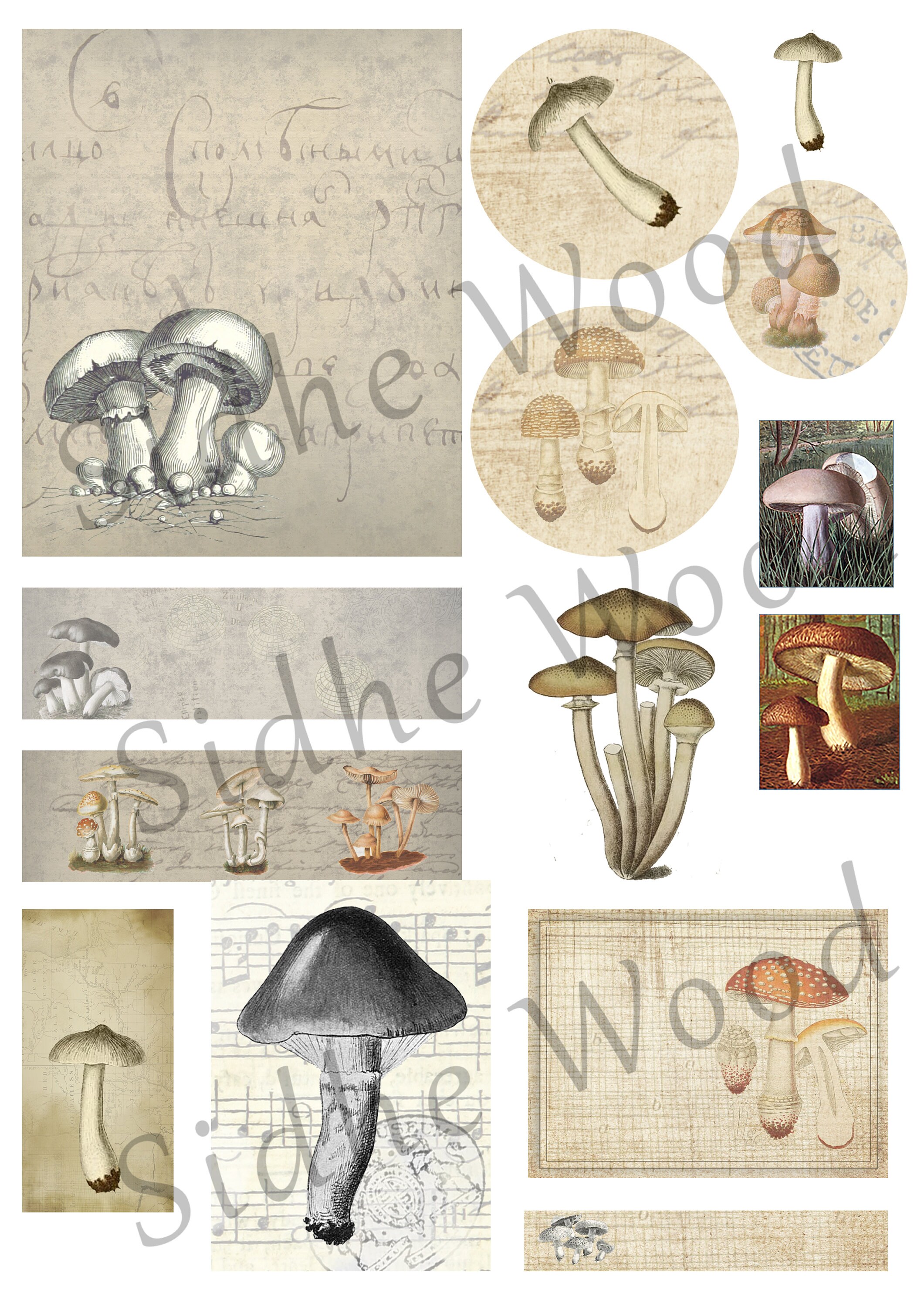 Mushroom & Toadstool Collage Sheet - Woodland, Ephemera, Junk Journal ...
