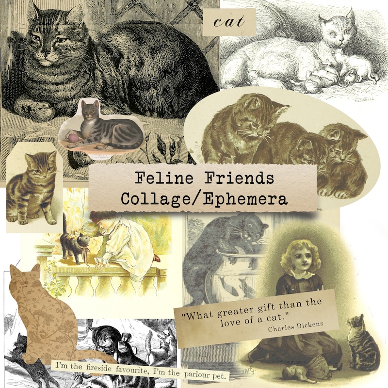 Cat Collage - Etsy