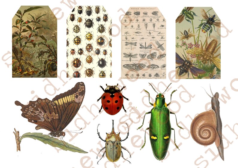 Bugs & Beasties Ephemera Sheet - Junk Journals, Printable Paper Crafts ...