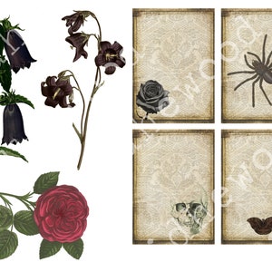 Vampire - Perfect for Junk Journals, Ephemera, Printable Paper Crafts ...