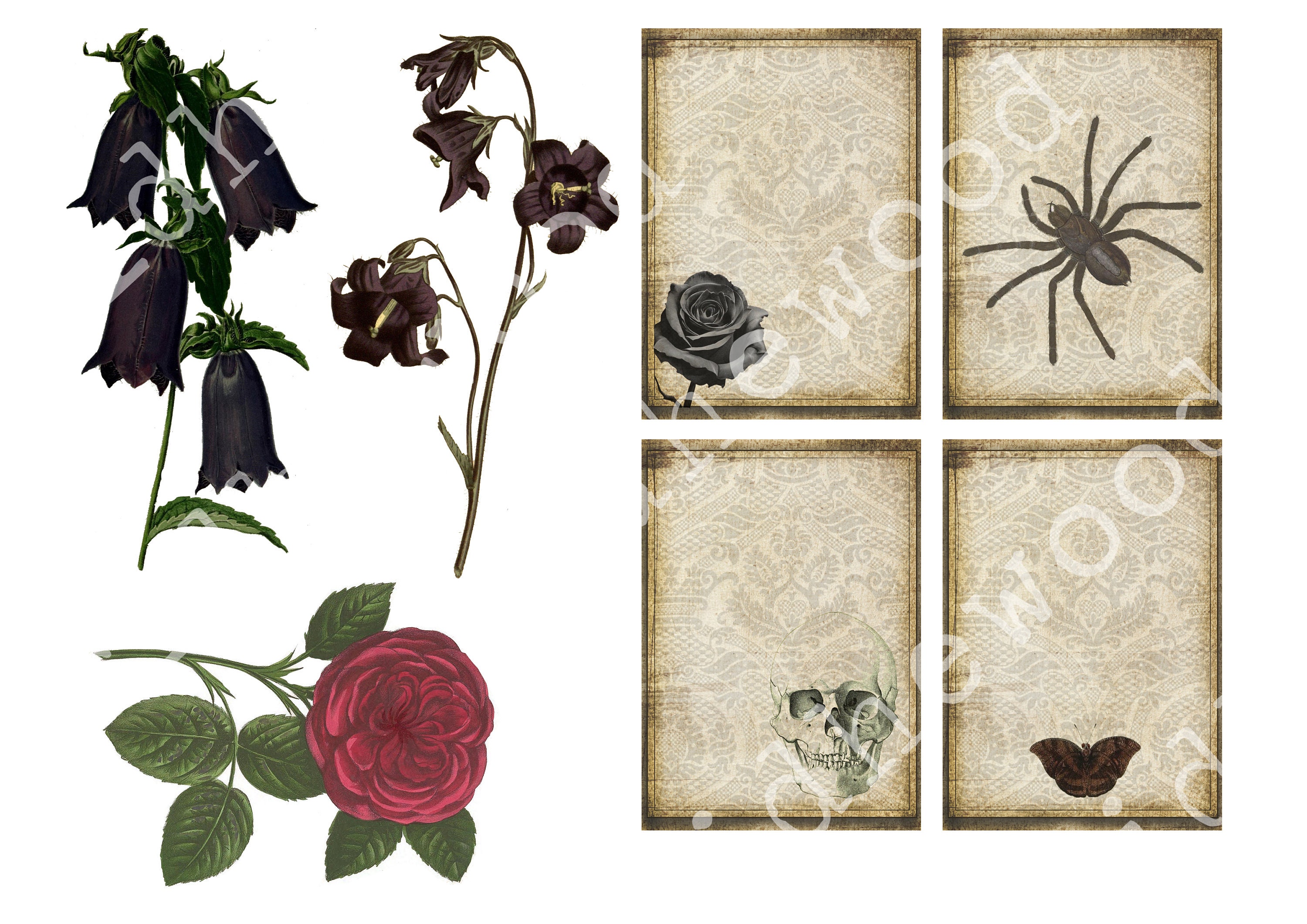 Vampire - Perfect for Junk Journals, Ephemera, Printable Paper Crafts ...