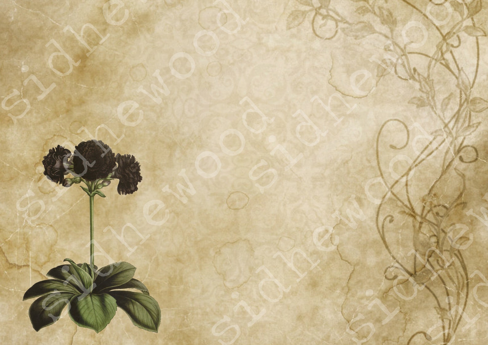Vampire - Perfect for Junk Journals, Ephemera, Printable Paper Crafts ...