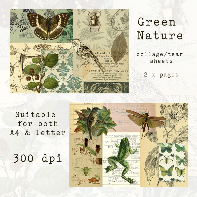 Green Nature Collage Sheet Junk Journals, Printable Paper Crafts ...