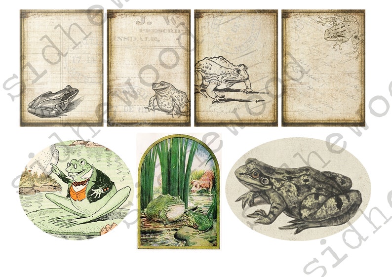 Frogs - Ephemera, Junk Journals, Printable Paper Crafts, Scrapbooking ...