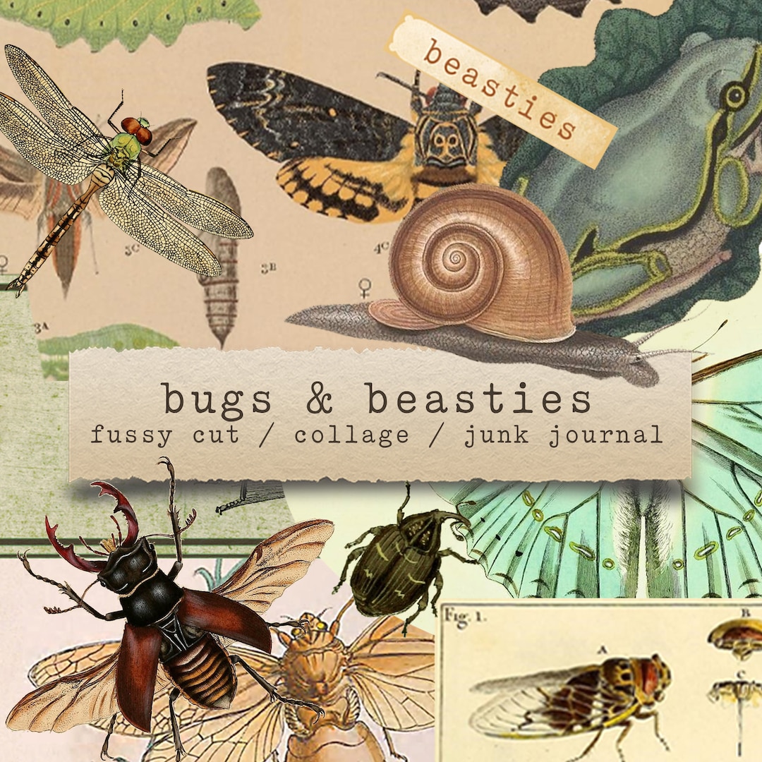 Bugs & Beasties Ephemera Sheet - Junk Journals, Printable Paper Crafts ...