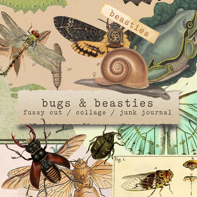 Bugs & Beasties Ephemera Sheet - Junk Journals, Printable Paper Crafts ...