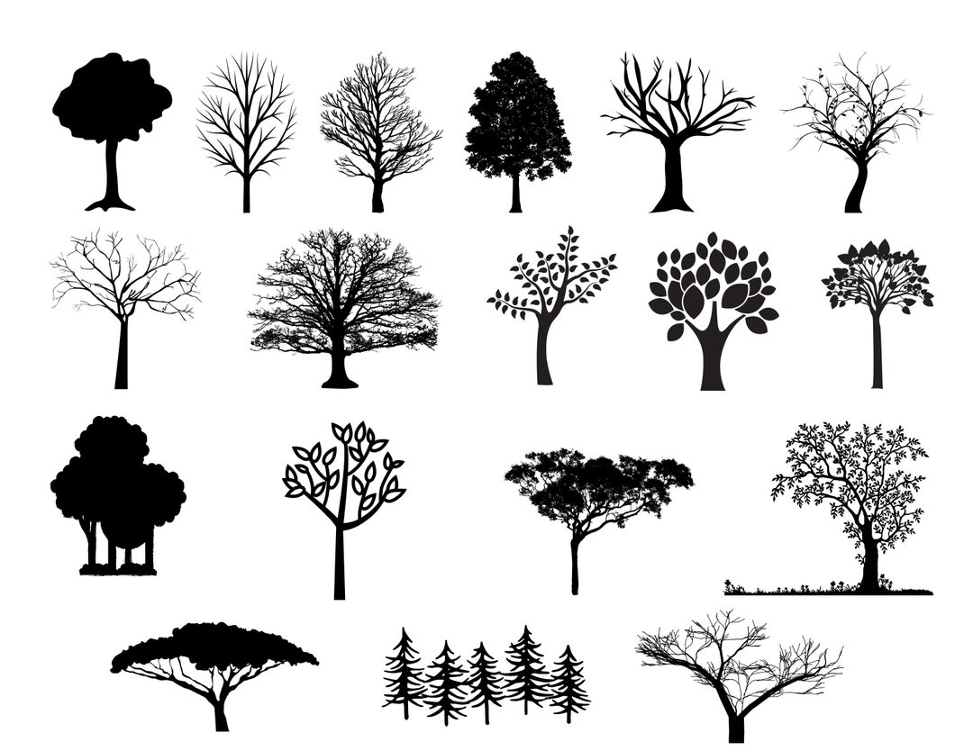 Árboles SVG Descarga SVG Vector Digital Cricut SVG - Etsy México